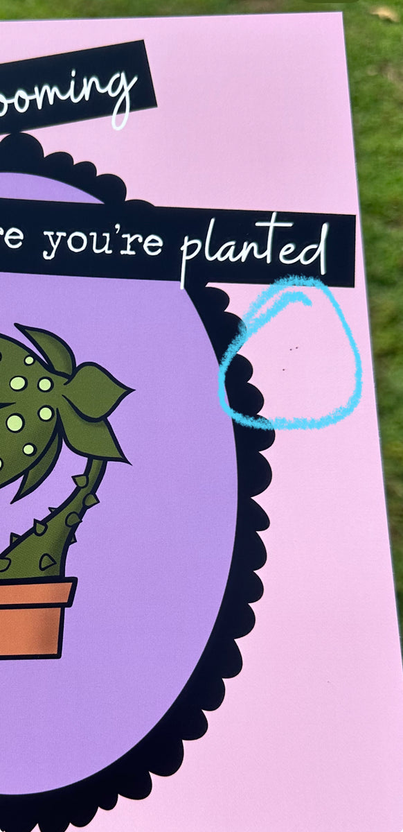 (Seconds) Sometimes Blooming Where You’re Planted Looks Like This Prin ...